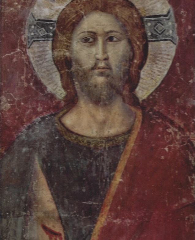 LES PRIMITIFS - PEINTURE EN OCCIDENT by Volpe, Carlo: Very Good ...