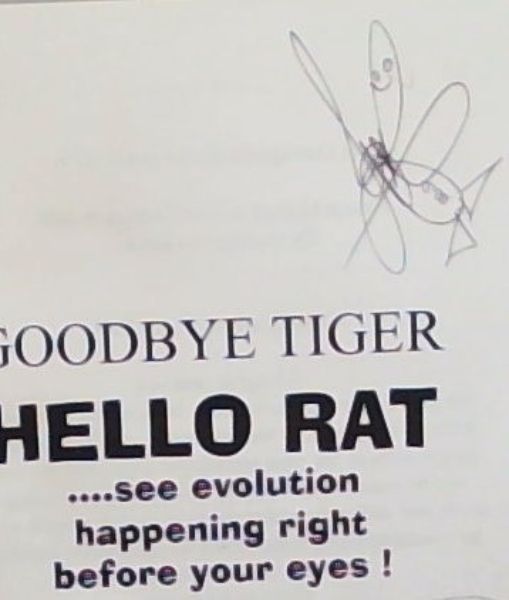 GOODBYE TIGER HELLO RAT!! . see evolution happening, right before your ...