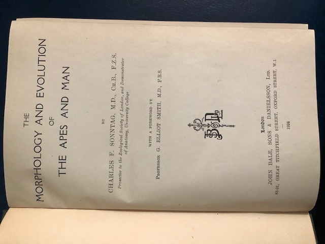 The Morphology and Evolution of the Apes and Man by Sonntag, MD ...