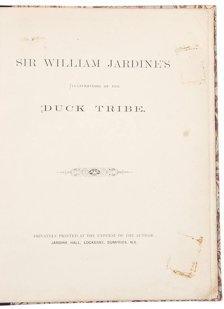 Sir William Jardine's Illustrations of the Duck Tribe by JARDINE, Sir ...
