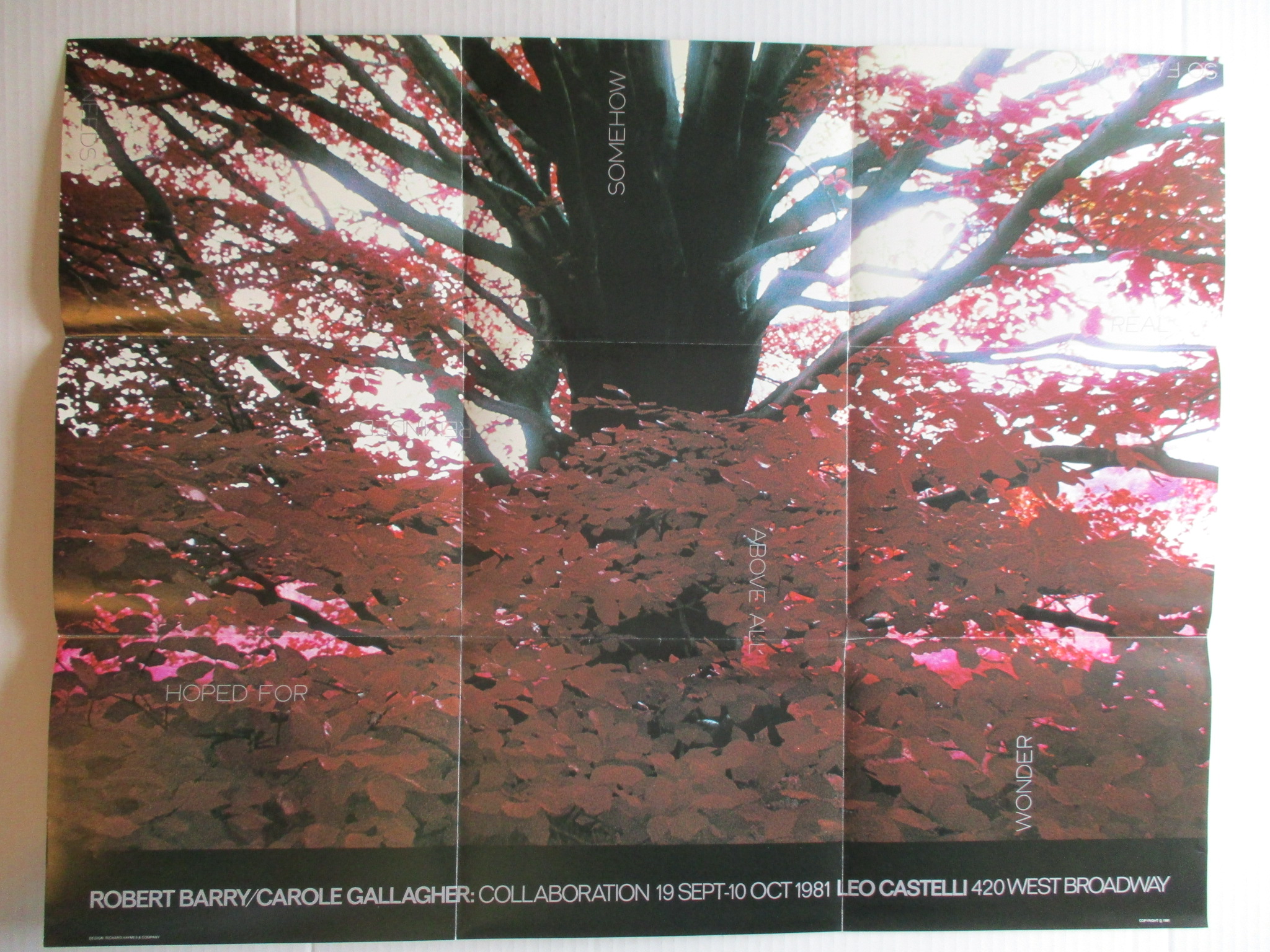 Robert Barry and Carole Gallagher Collaboration Leo Castelli 1981 ...