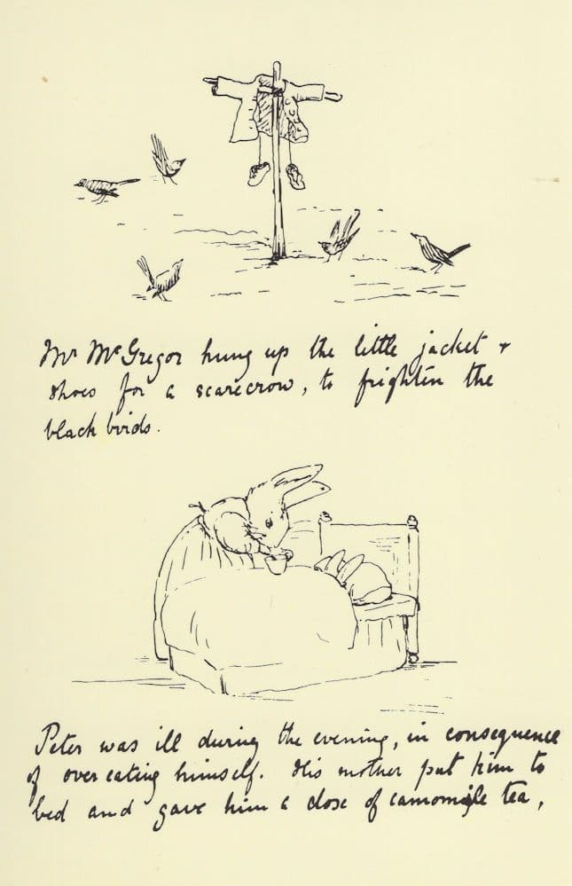 Beatrix Potter Victorian Peter Rabbit Book Shoes 1893 Letter Postcard ...