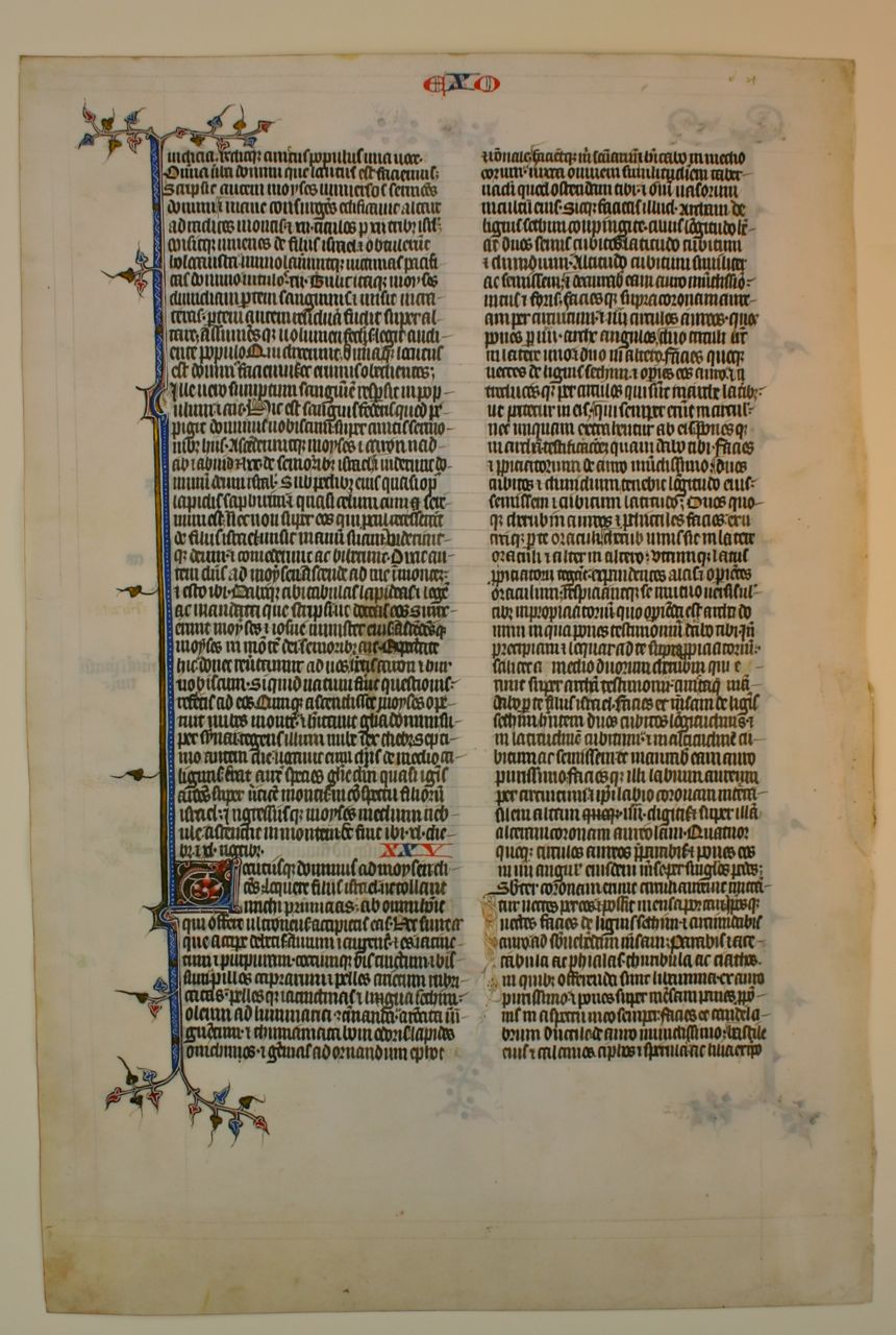 Magnificent, large, manuscript Lectern Bible leaf, c.1300 by BIBLE ...