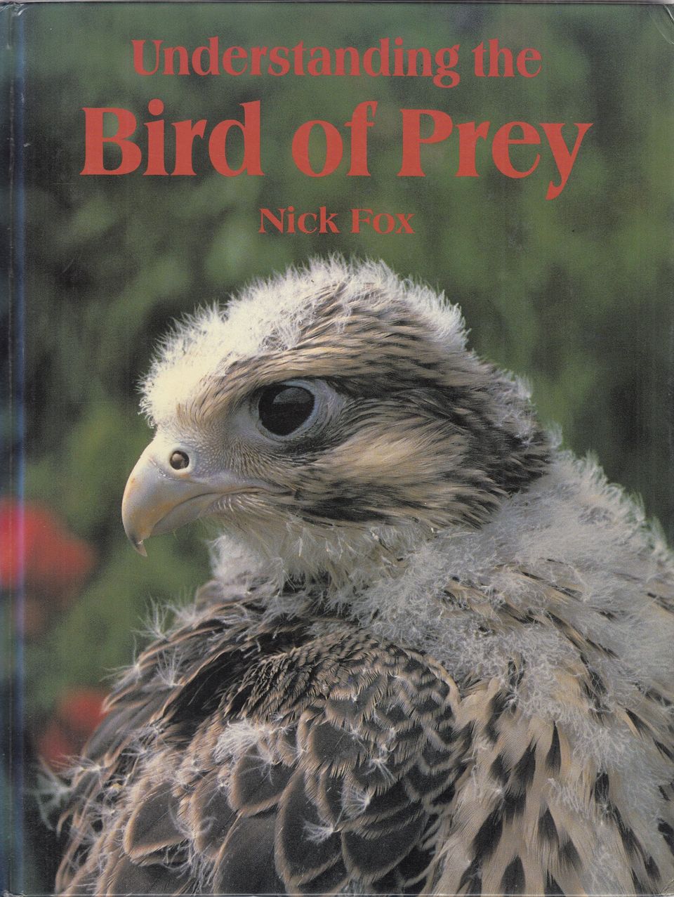 UNDERSTANDING THE BIRD OF PREY. By Nick Fox. First Edition. by Fox ...