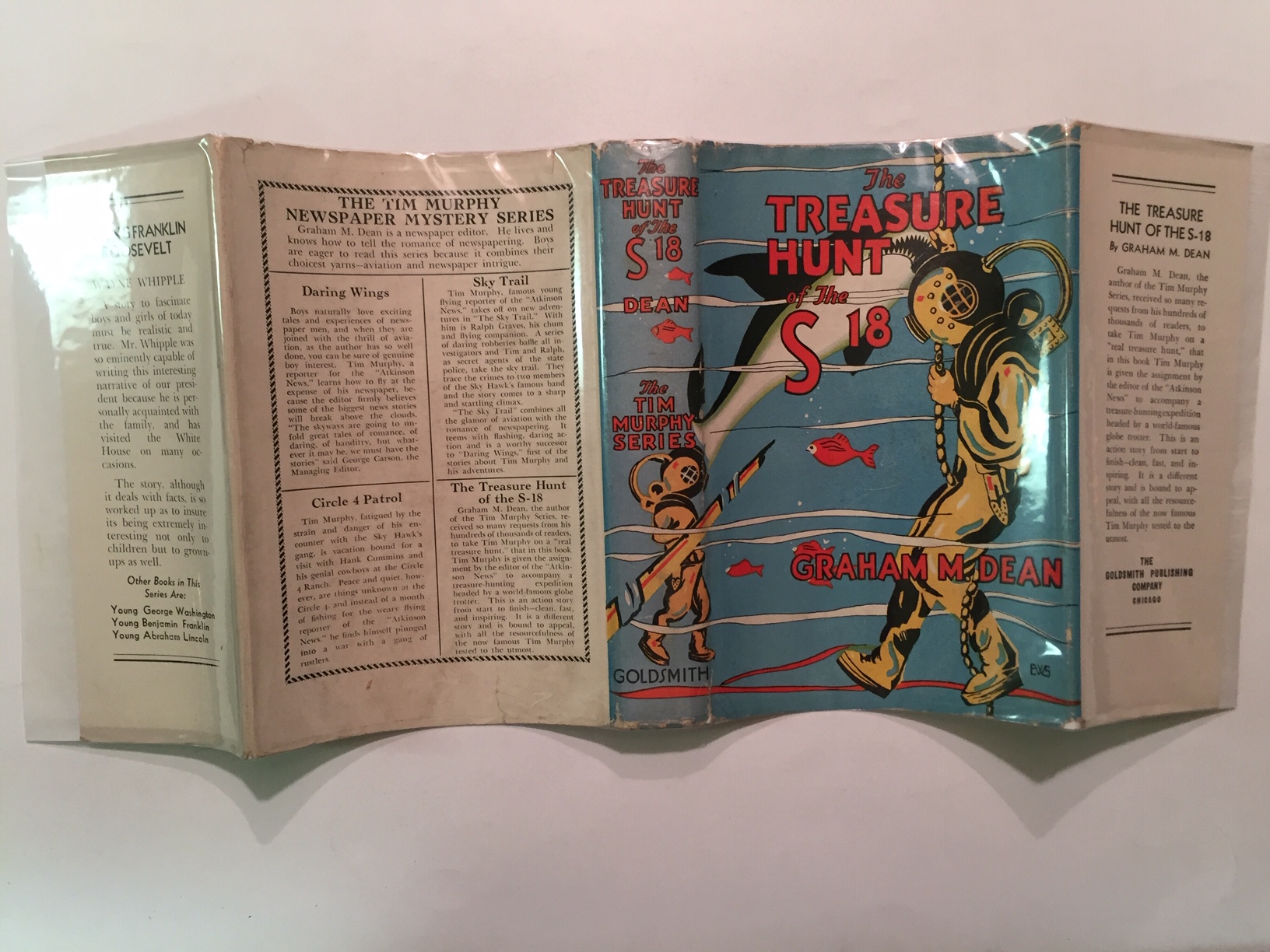 The Treasure Hunt (#4 of 4 books in the "Tim Murphy" series) by Dean ...