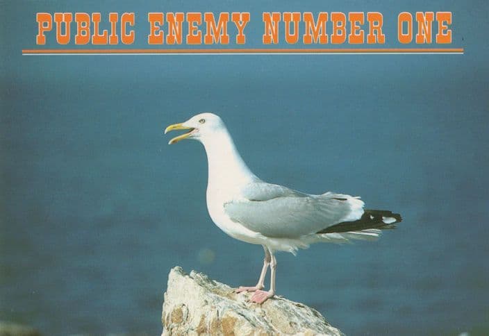 Public Enemy Number One The Seagull Postcard: Manuscript / Paper ...