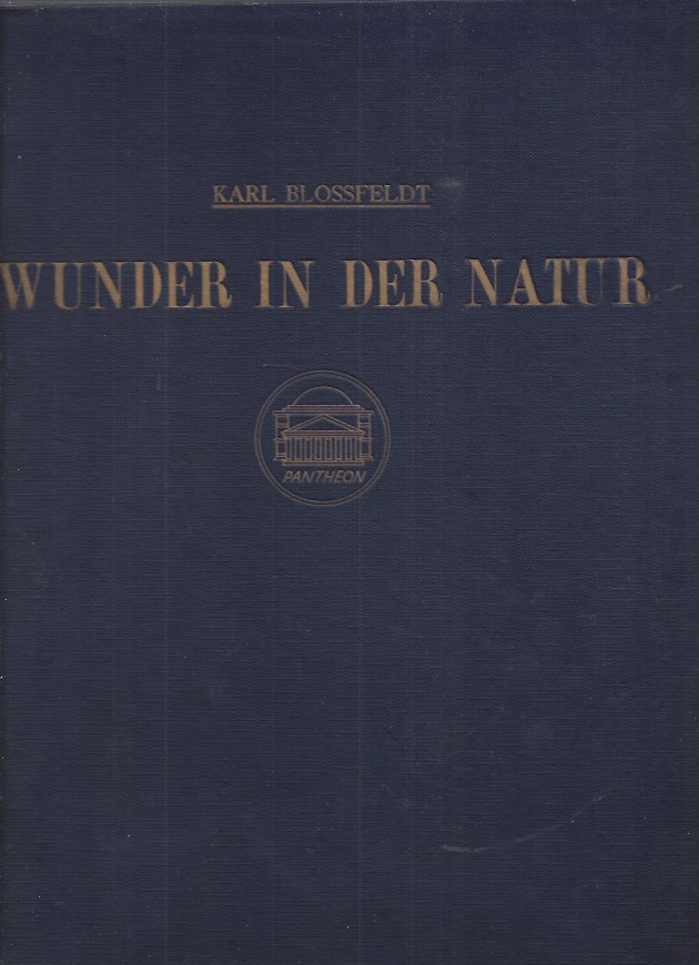 WUNDER IN DER NATUR - BILD-DOKUMENTE SCHÖNER PFLANZENFORMEN VON KARL ...