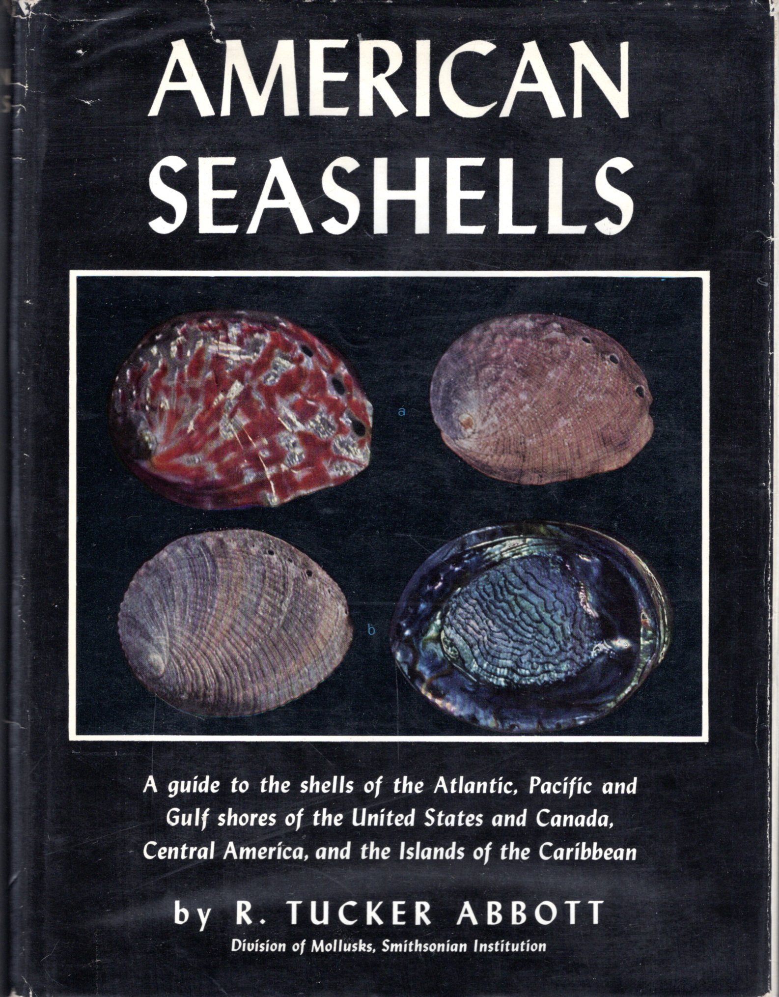American Seashells: A Guide to the Shells of the Atlantic, Pacific, and ...