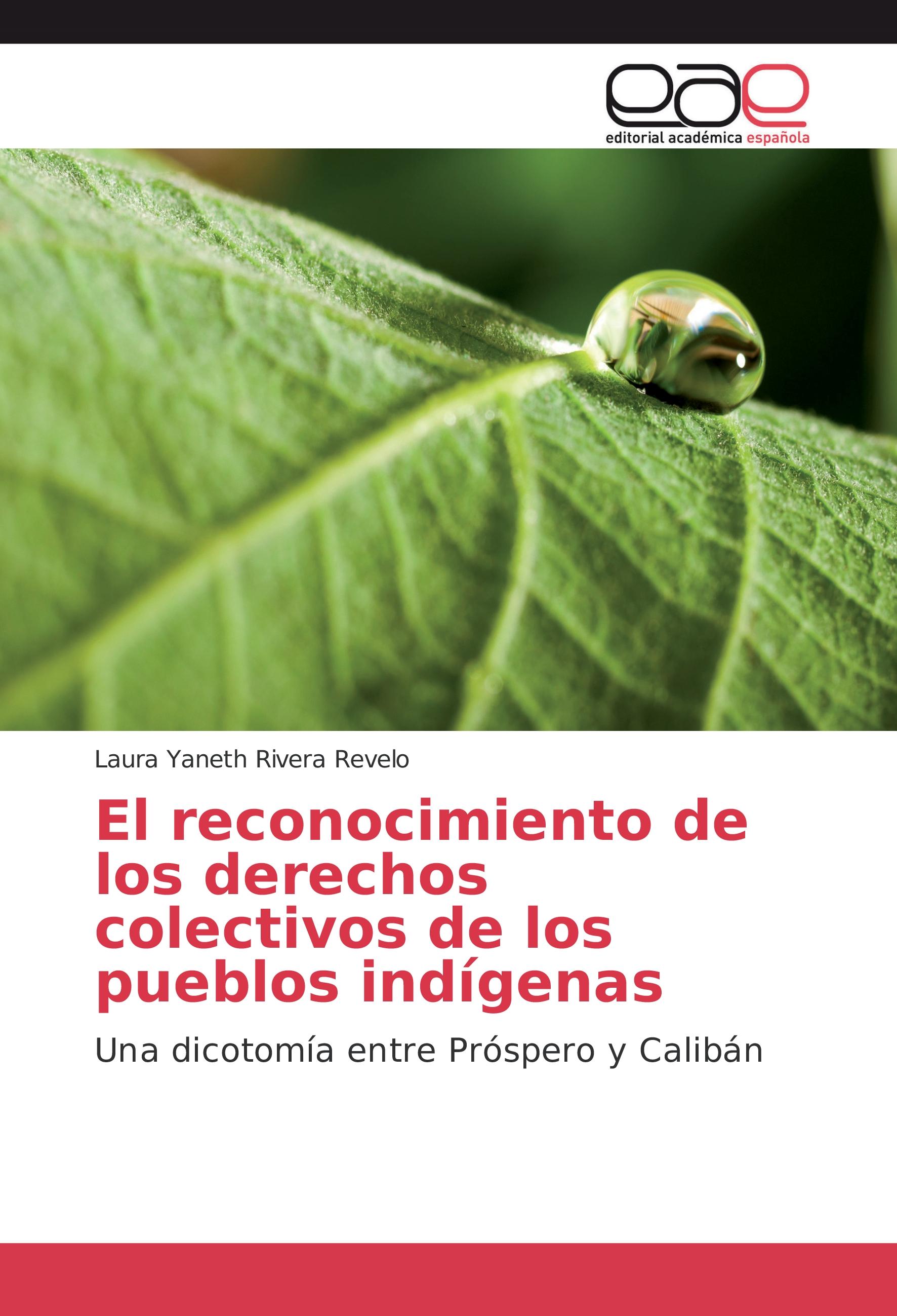 El reconocimiento de los derechos colectivos de los pueblos indígenas ...