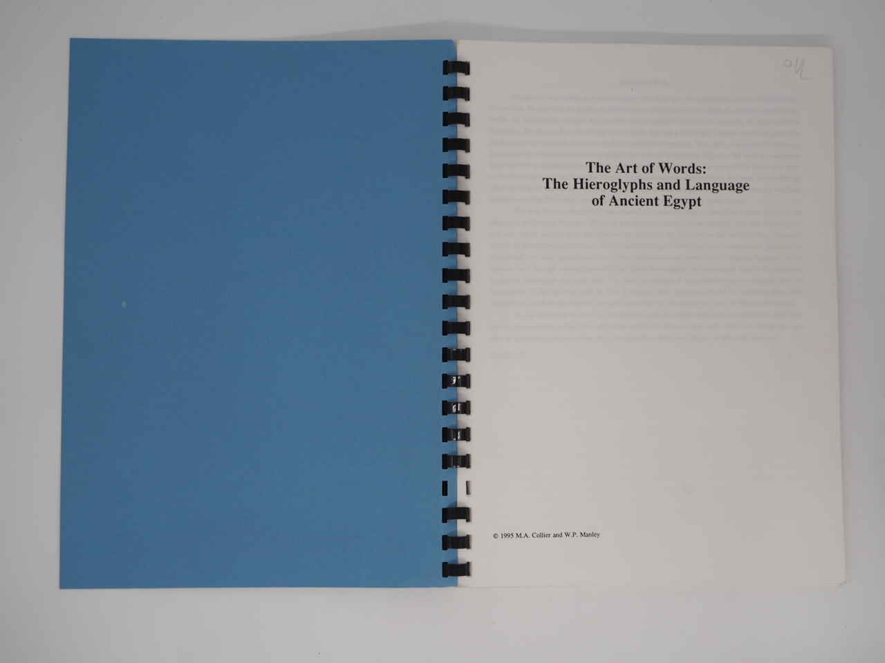 The Art of Words: The Hieroglyphs and Language of Ancient Egypt. by M ...