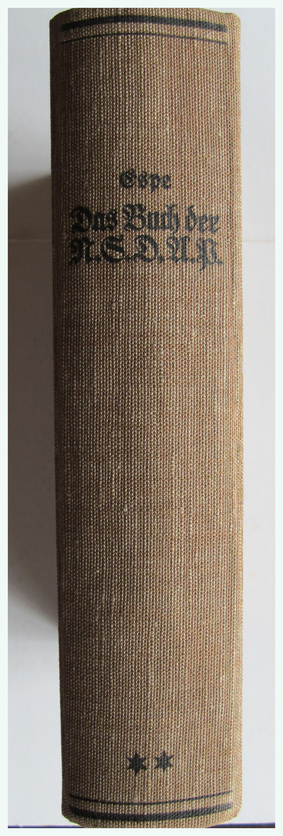 Das Buch der N.S.D.A.P. (The Book of the Nazi Party) par By Walter M ...