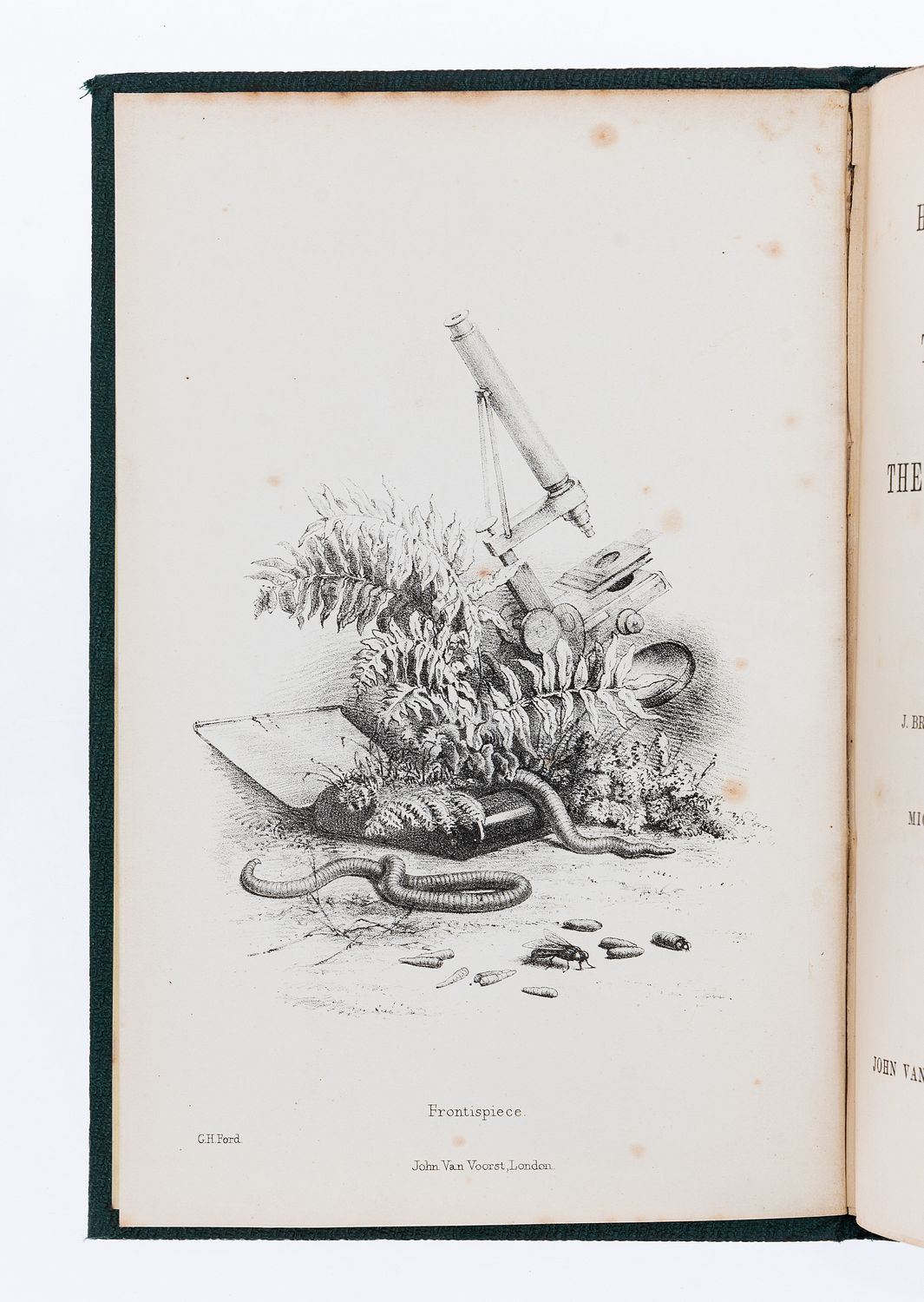 Humble Creatures. The Earthworm and The Common Housefly. In Eight ...