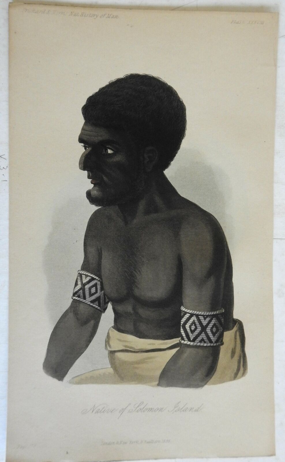 Solomon Islands Native Peoples Portrait 1855 Bailliere scarce ...