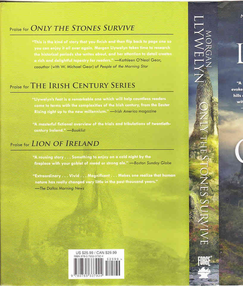 Only the Stones Survive by Morgan Llywelyn: Fine Hardcover (2016) 1st ...
