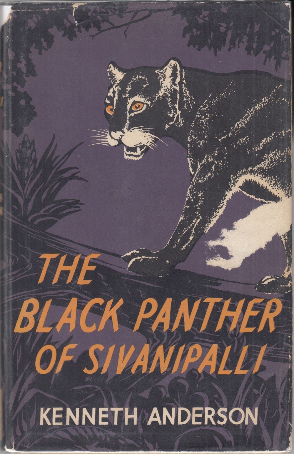 THE BLACK PANTHER OF SIVANIPALLI: AND OTHER ADVENTURES OF THE INDIAN ...