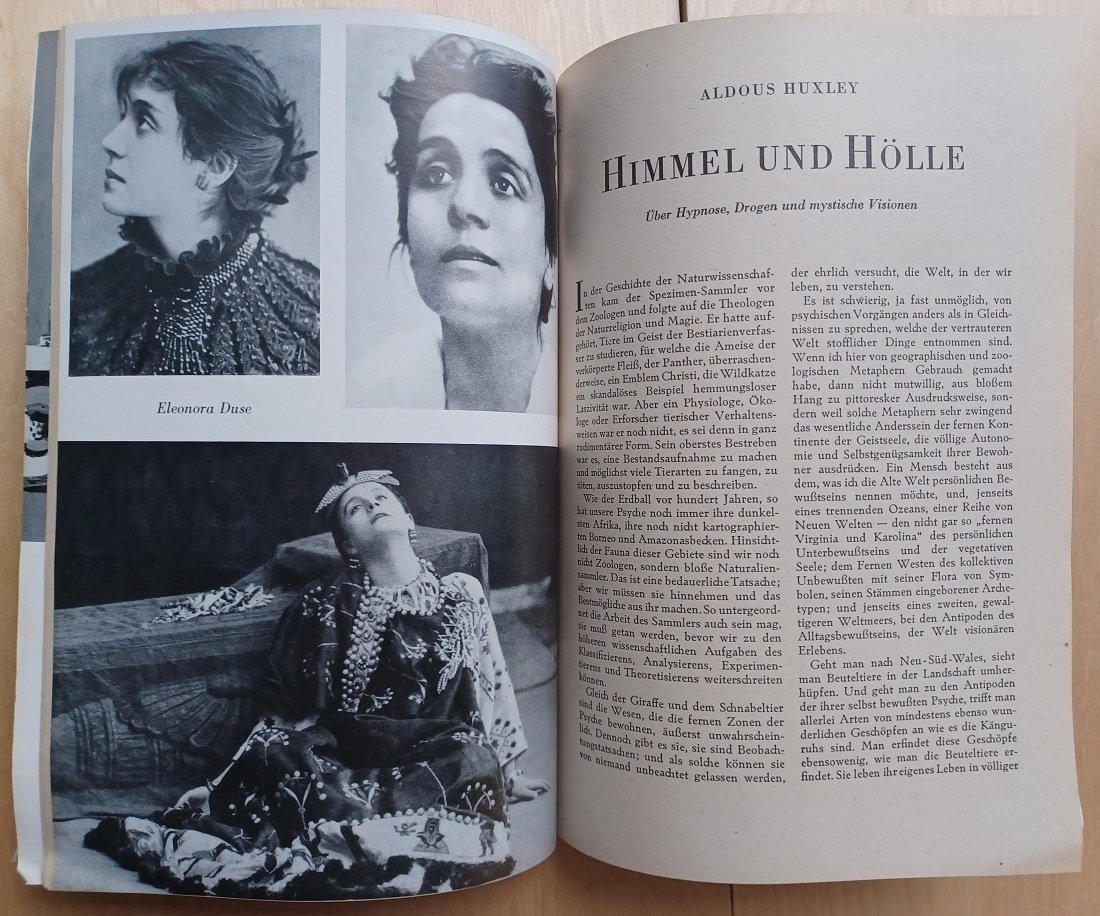 Der Monat. Eine internationale Zeitschrift für Politik und geistiges ...