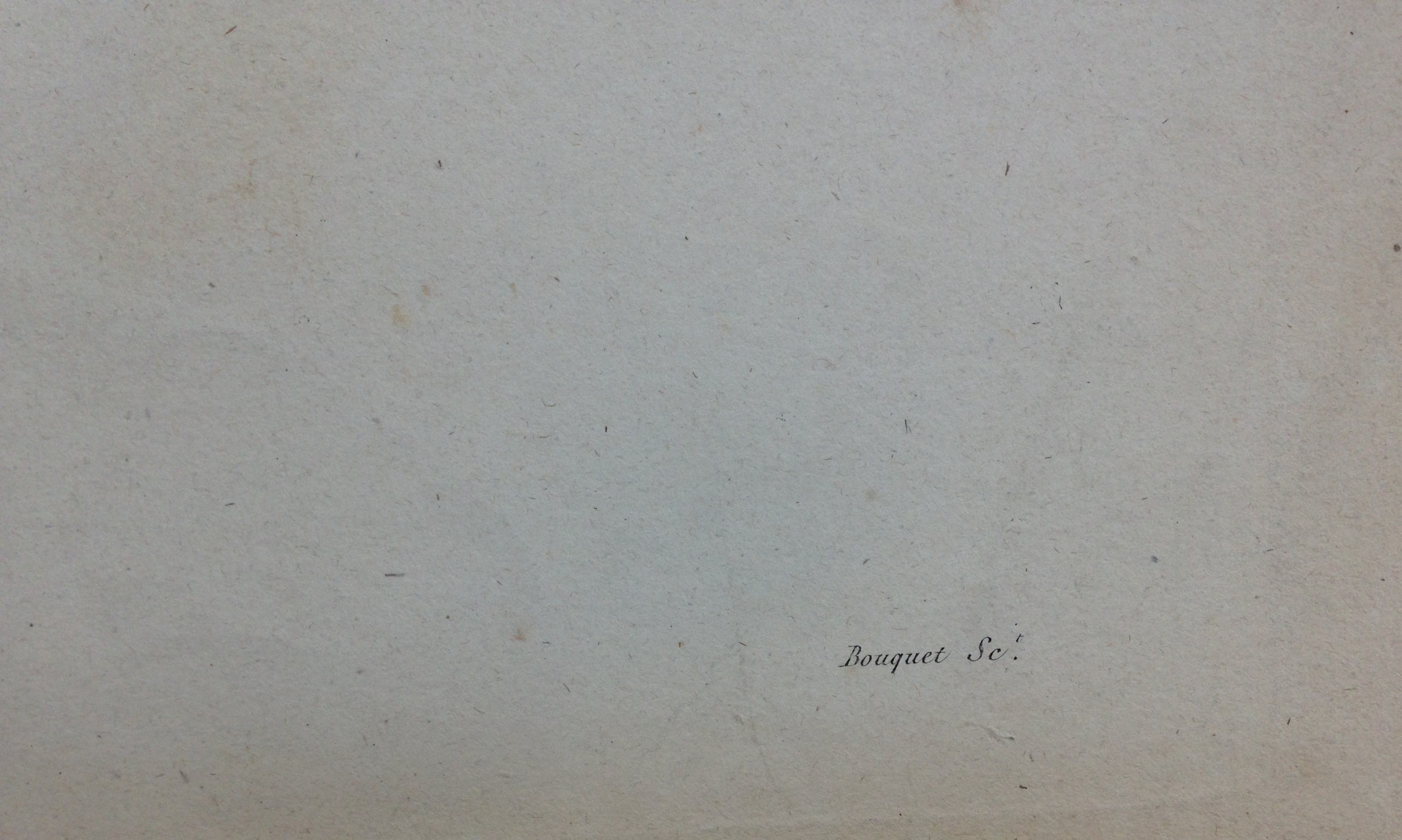 Zoologie, Oiseaux. Pl 12. L'Aigle De Thèbes. Description De l'Egypte ...