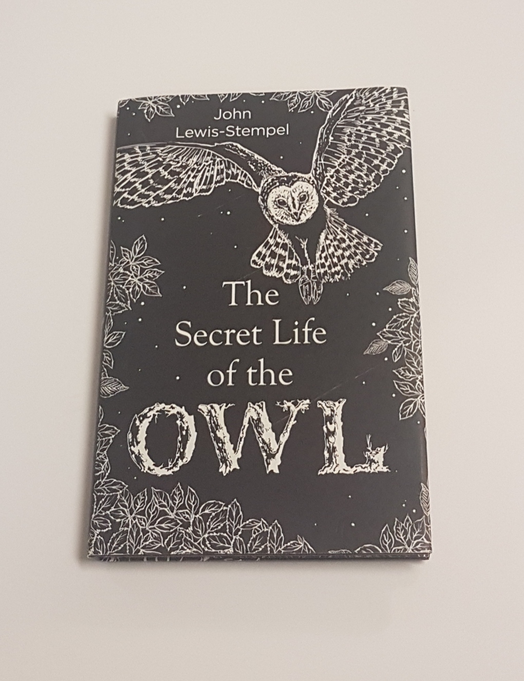 The Secret Life of the Owl by Lewis-Stempel, John: Very Good Hardcover ...
