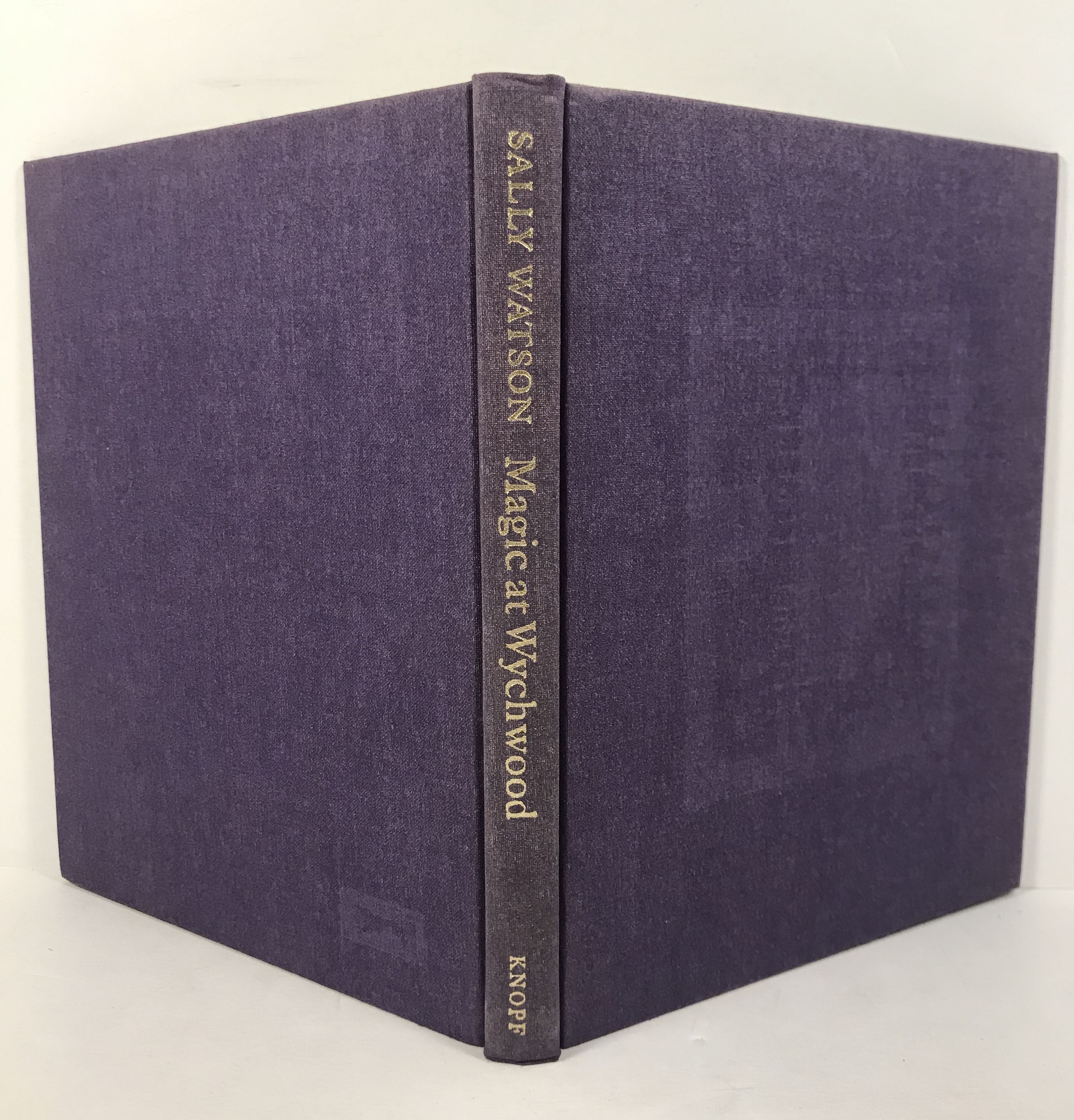 Magic at Wychwood illustrated by Frank Bozzo by Watson, Sally: Very ...