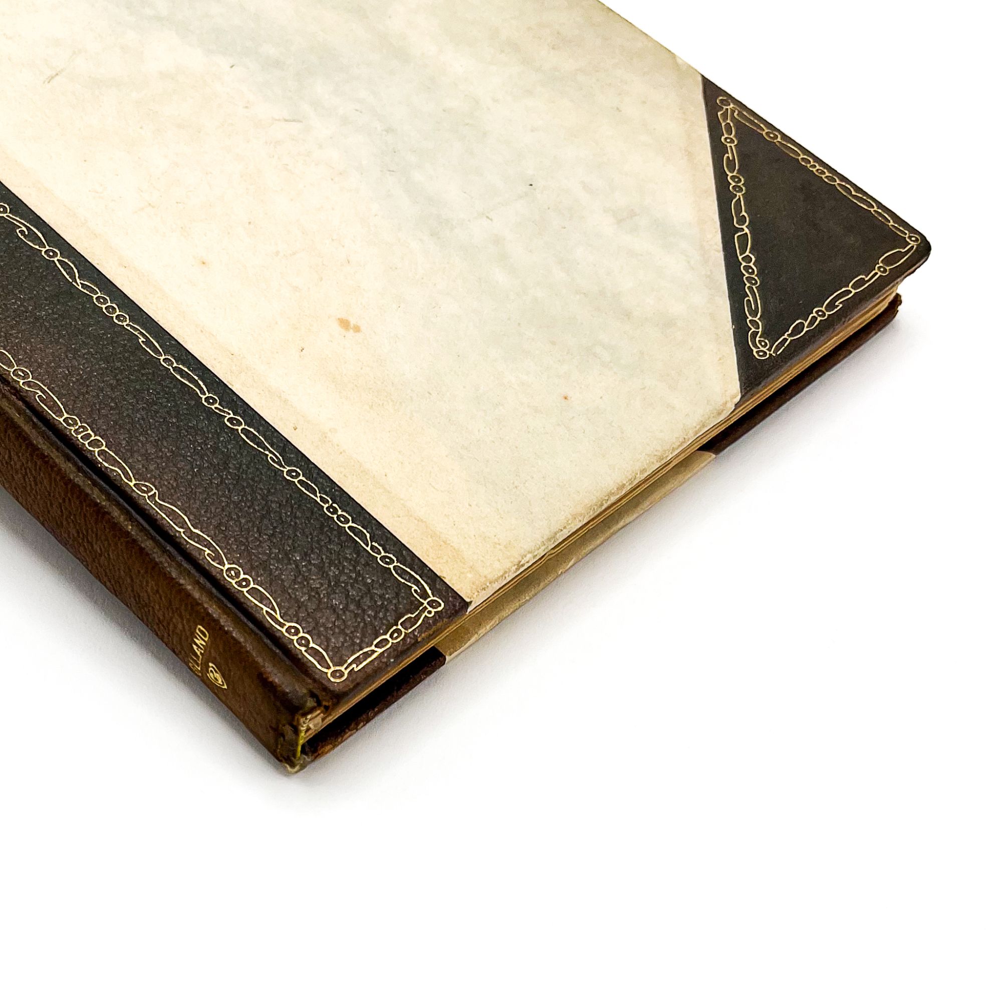 MANNY & CO by Sylvester, Charles; Sturges Dodge, Katherine: Very good ...