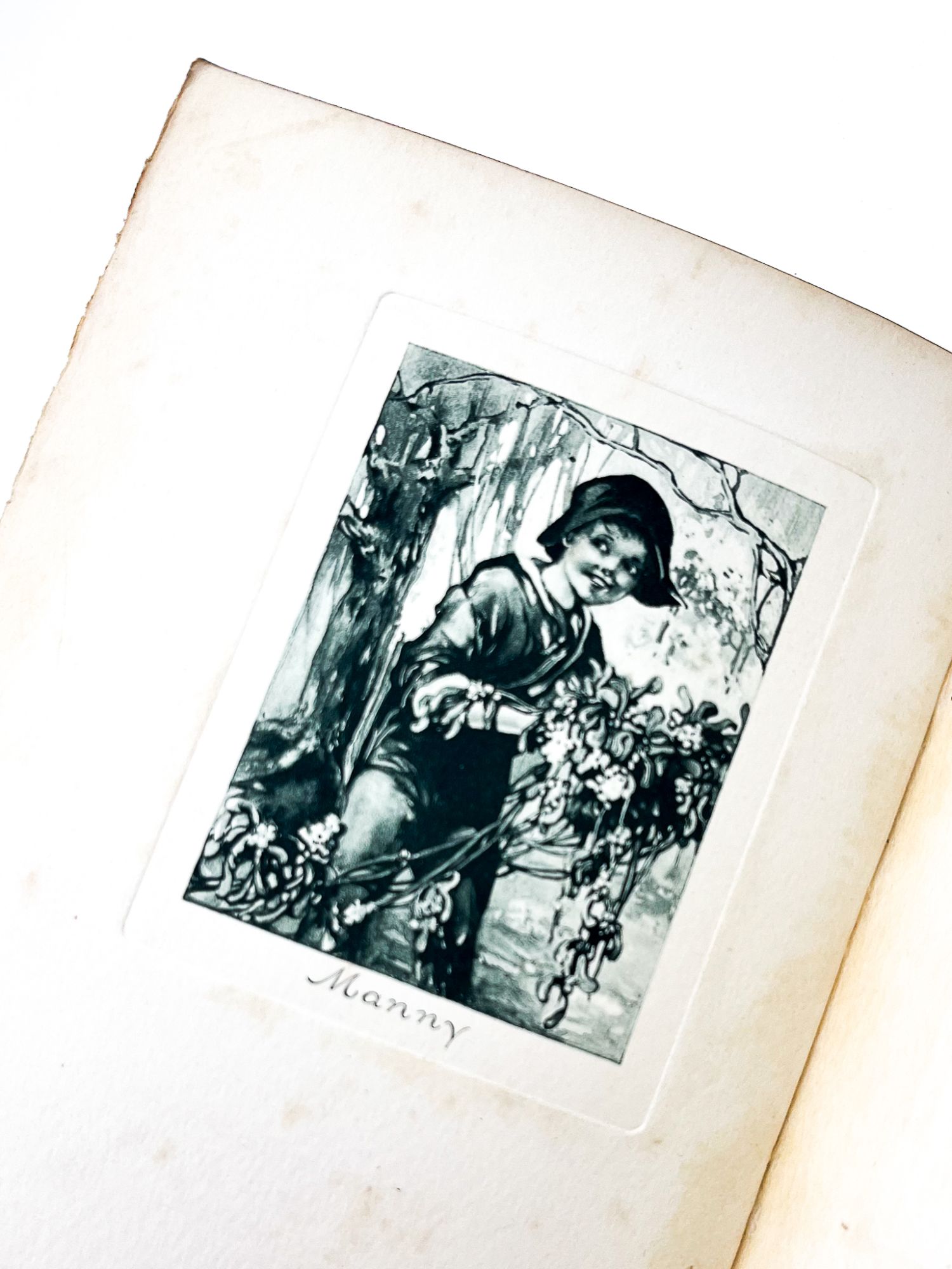 MANNY & CO by Sylvester, Charles; Sturges Dodge, Katherine: Very good ...