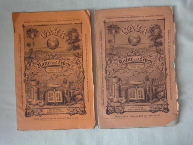 Wolkenstudien/ Professor Nordenskjölds Fahrt Durch Das Sibirische ...