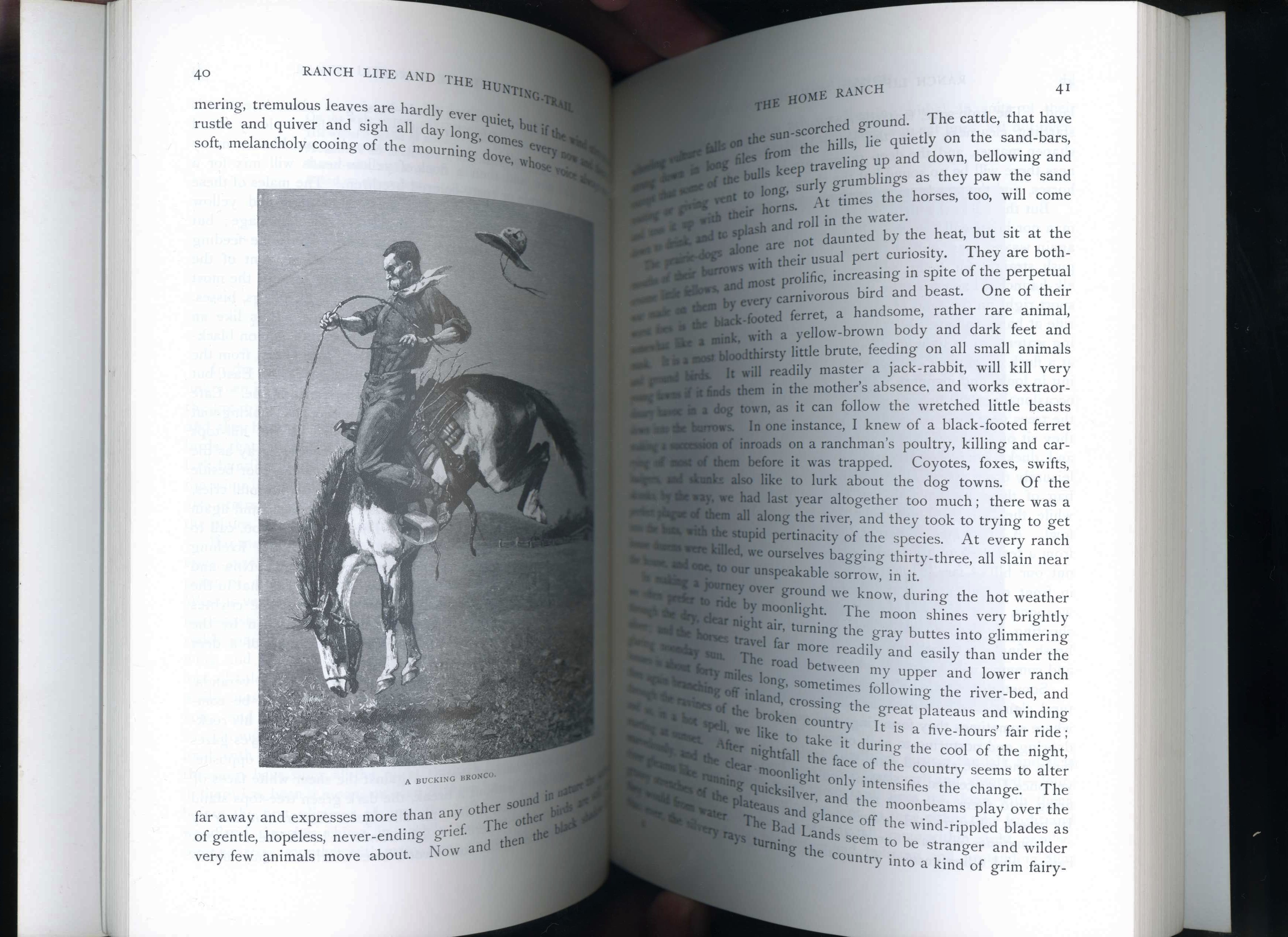 RANCH LIFE AND THE HUNTING-TRAIL by Theodore Roosevelt: Near Fine Soft ...