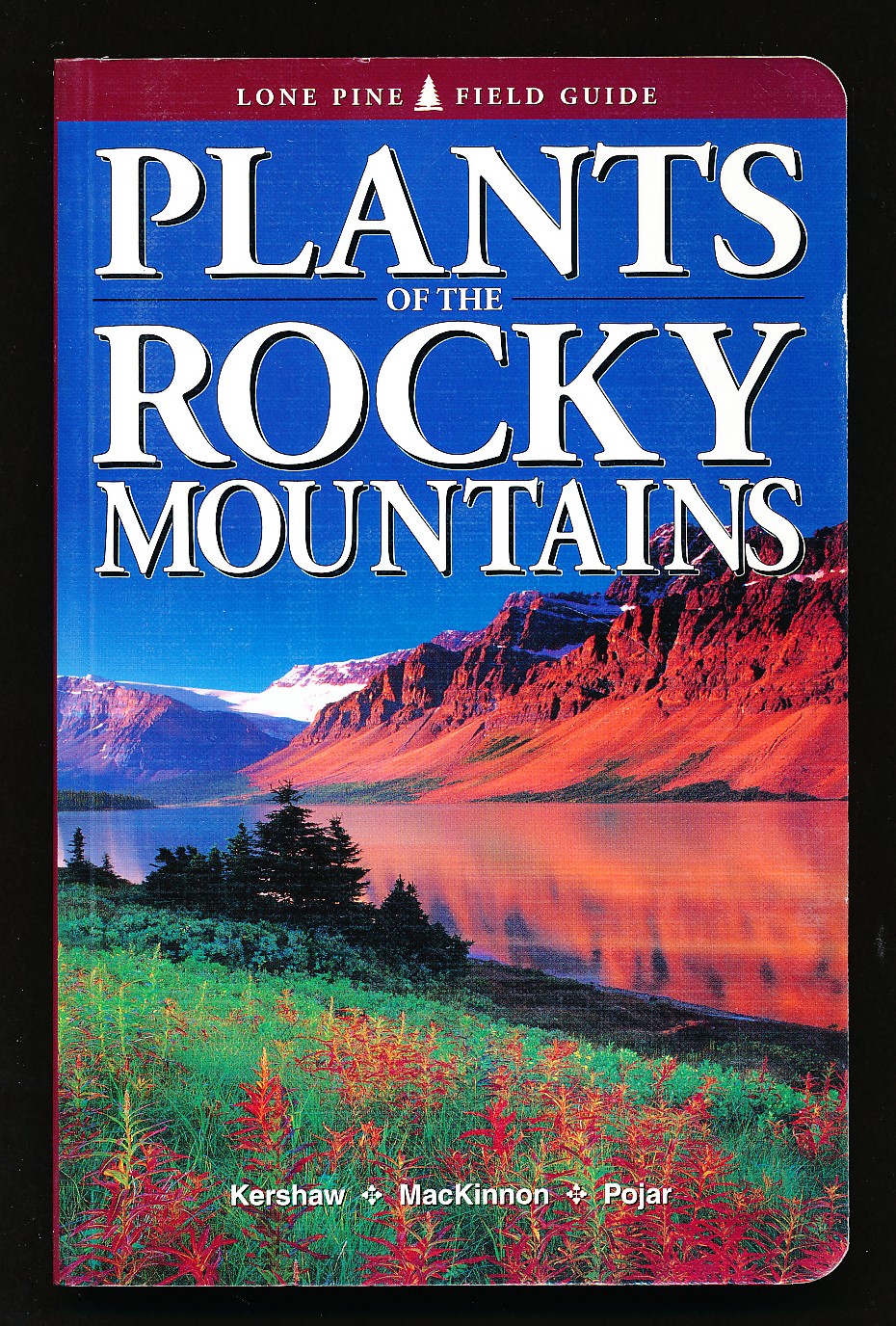 Plants of the Rocky Mountains (Lone Pine Field Guide) par Kershaw ...
