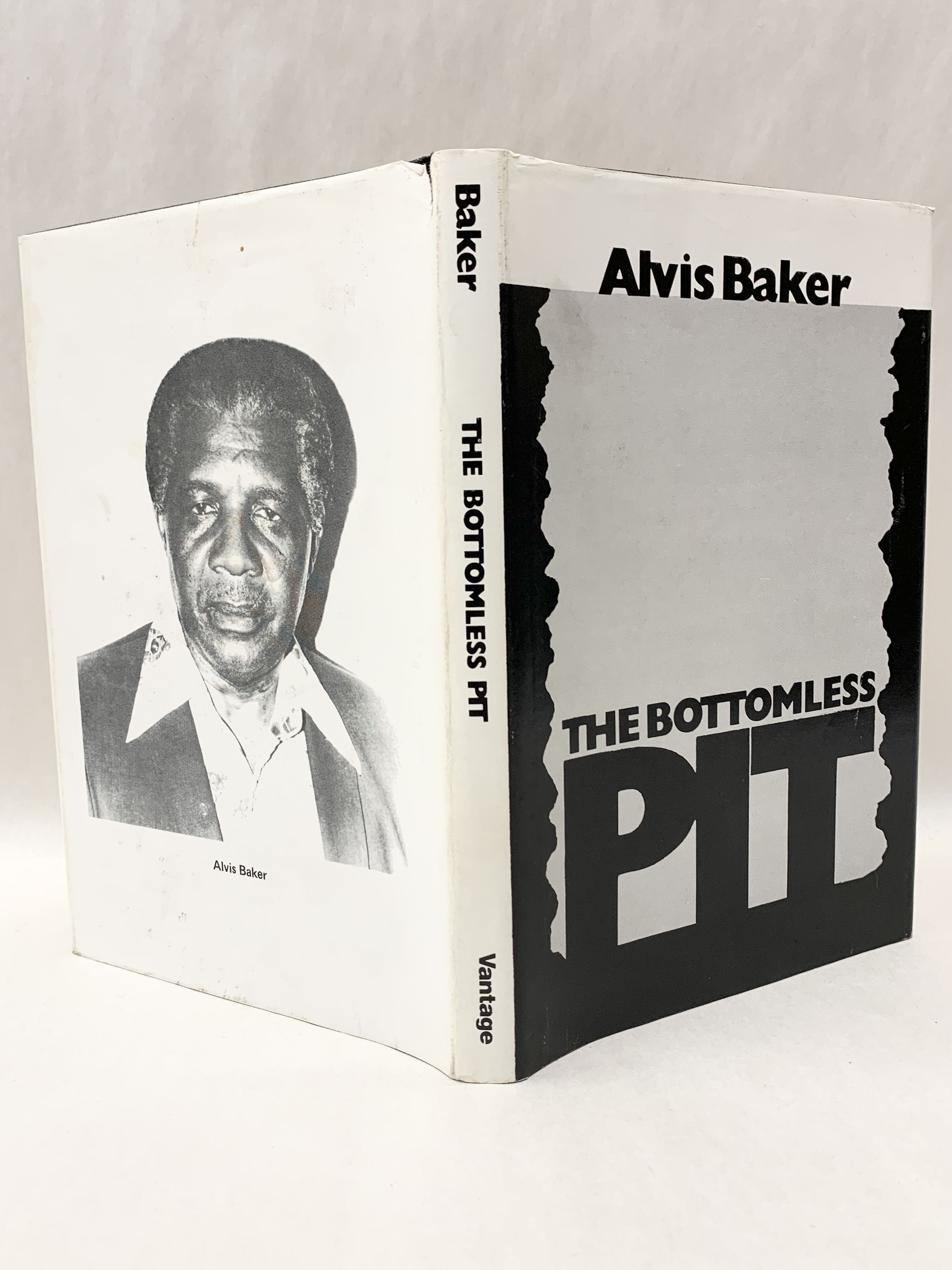 The Bottomless Pit by Baker, Alvis: Fine Hardcover (1981) First Edition ...