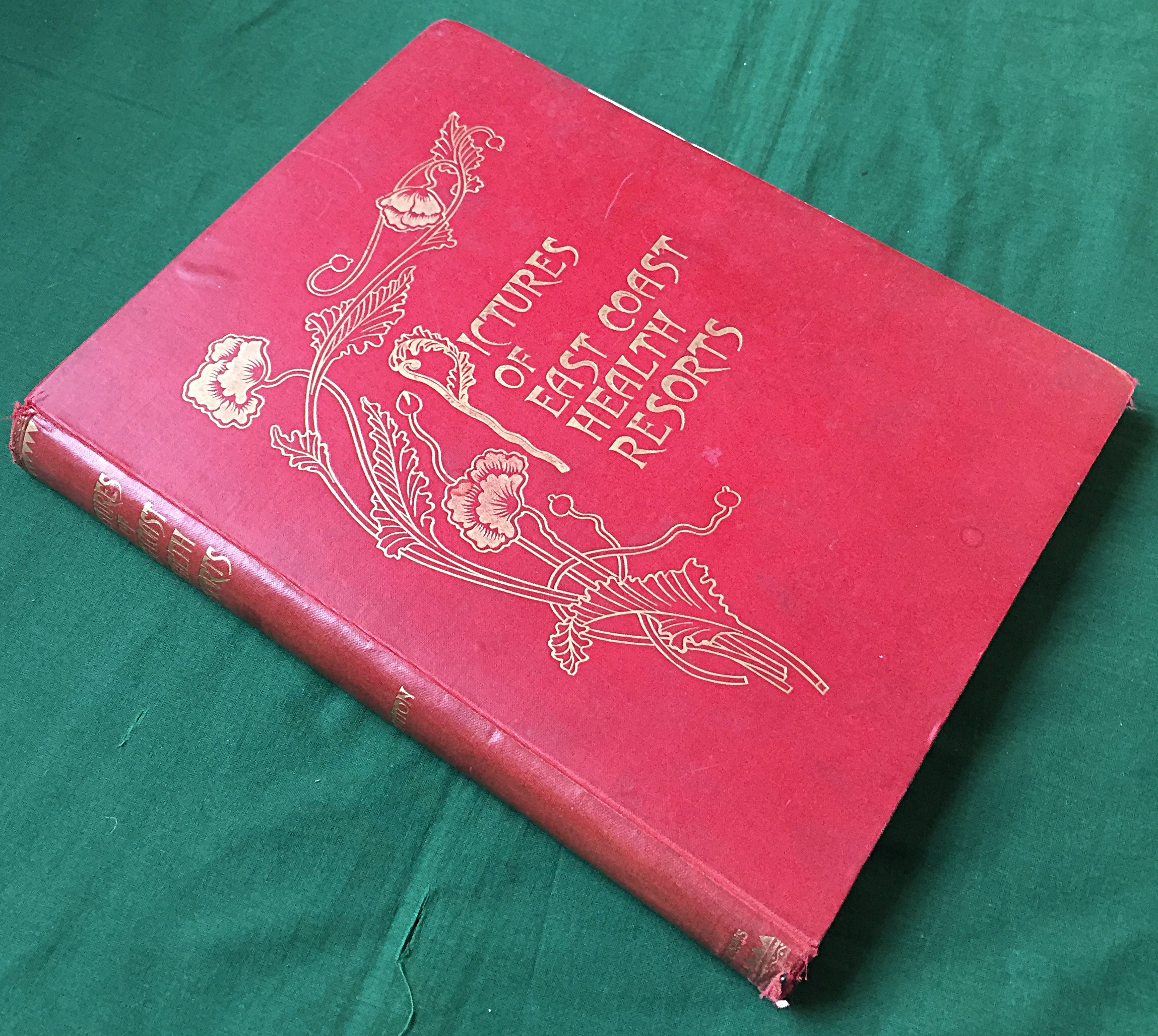 Pictures of East Coast Health Resorts by Peaton, Arthur (ed.), Rackham ...