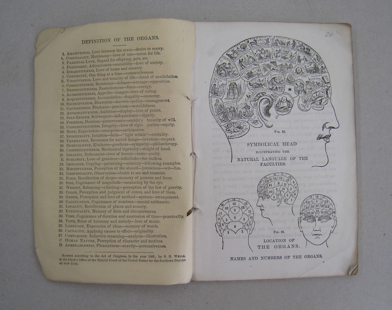 Wells' New Descriptive Chart, for the use of Examiners, giving a ...