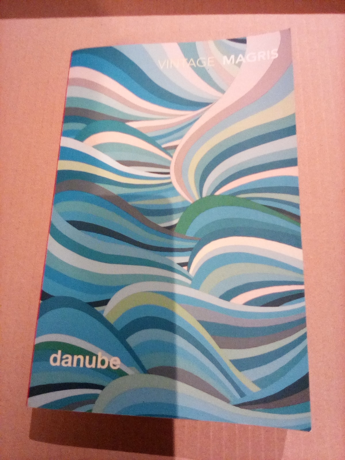 Danube (Vintage Classics) by Magris, Claudio: Very Good Soft cover ...