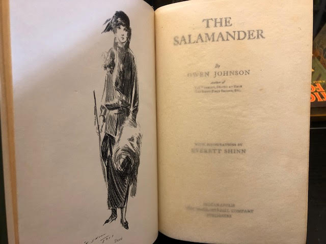 The Salamander by Johnson, Owen: Near Fine Cloth (1914) First Edition ...