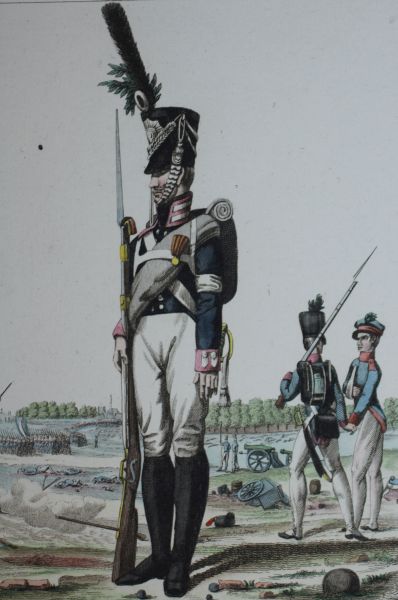 Troupes de Ligne, Grenadier. - by Genty (Hg.): (1815) Art / Print ...