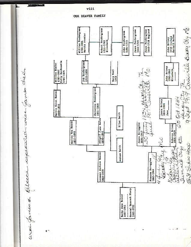 Our Beaver Family by Moulds, Jessie Neoma and Kathleen Lucille Peabody ...