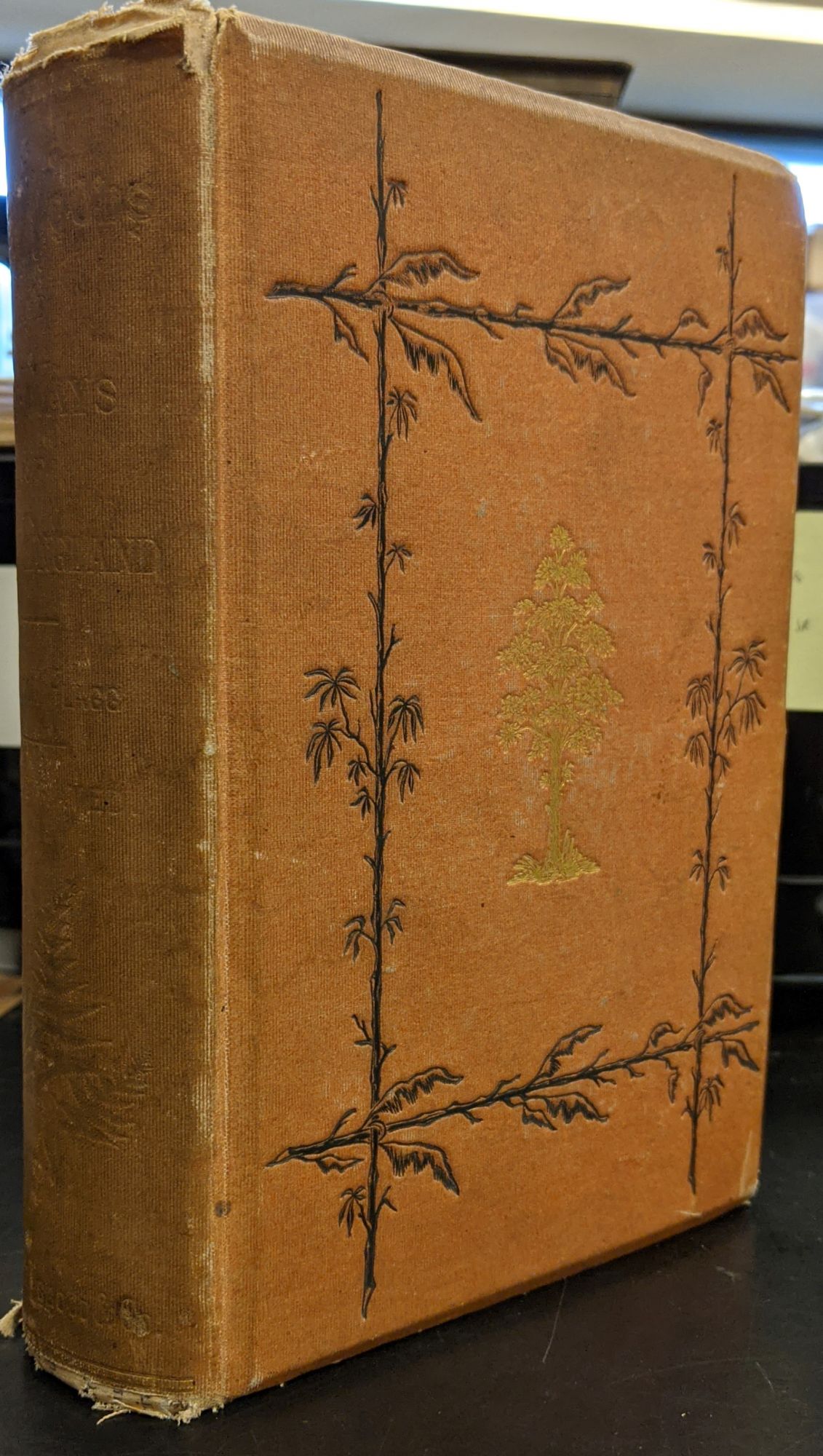The Woods and By-Ways of New England by Wilson Flagg: Good Hardcover ...