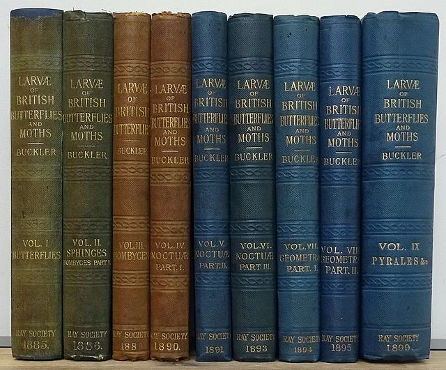 The Larvae of the British Butterflies and Moths. von Buckler, William ...