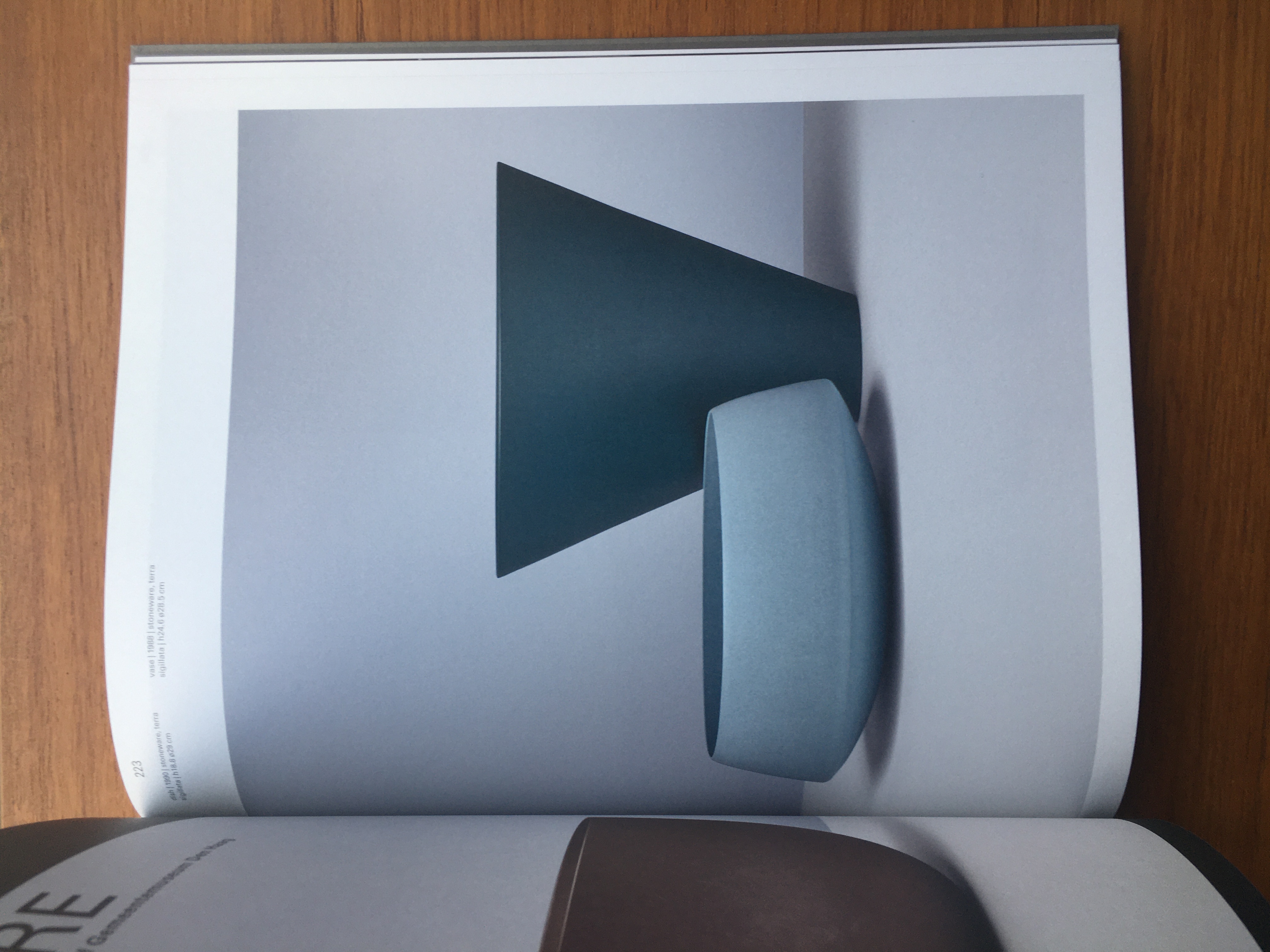 Geert Lap: Specific Objects by Eliëns, Titus; Ernst van Alphen; Jac ...