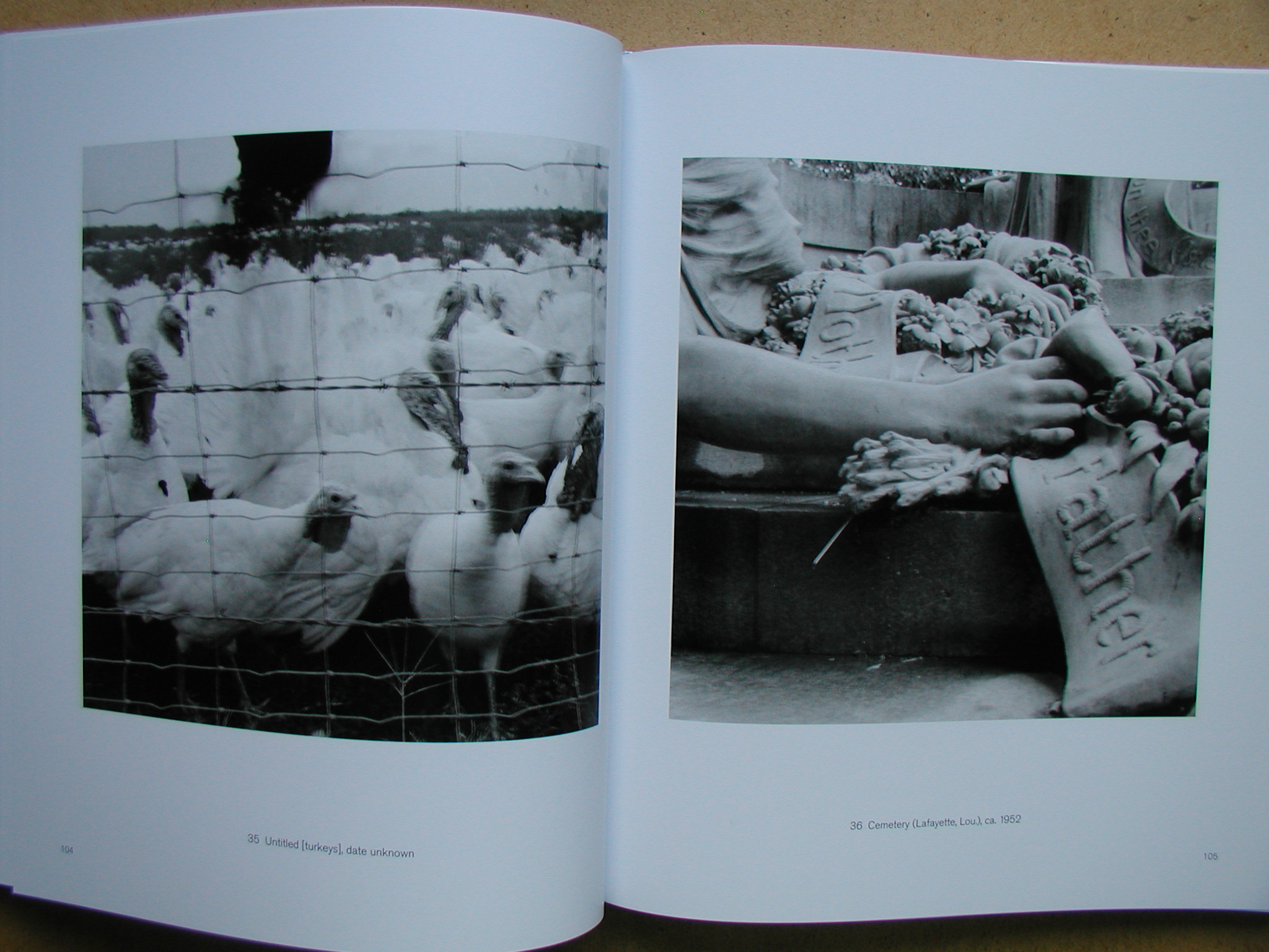 Robert Rauschenberg: Photographs 1949-1962. by Davidson, Susan & David ...