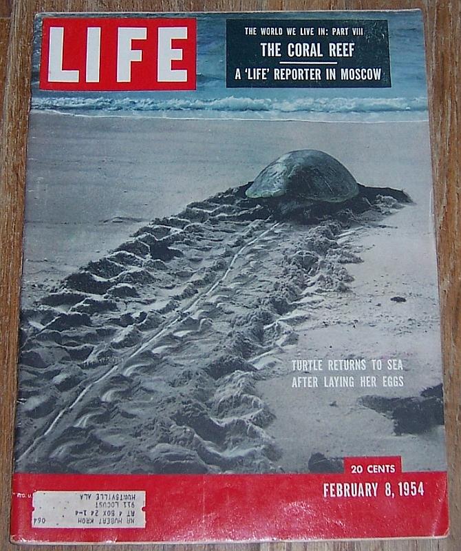 LIFE MAGAZINE FEBRUARY 8, 1954 by Life Magazine: (1954) Magazine ...