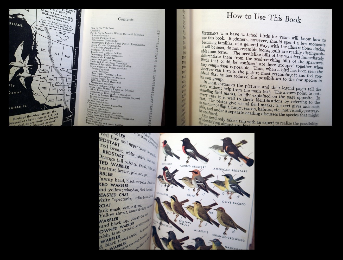 A FIELD GUIDE TO WESTERN BIRDS : Revised & Englarged 2nd Edition (The ...