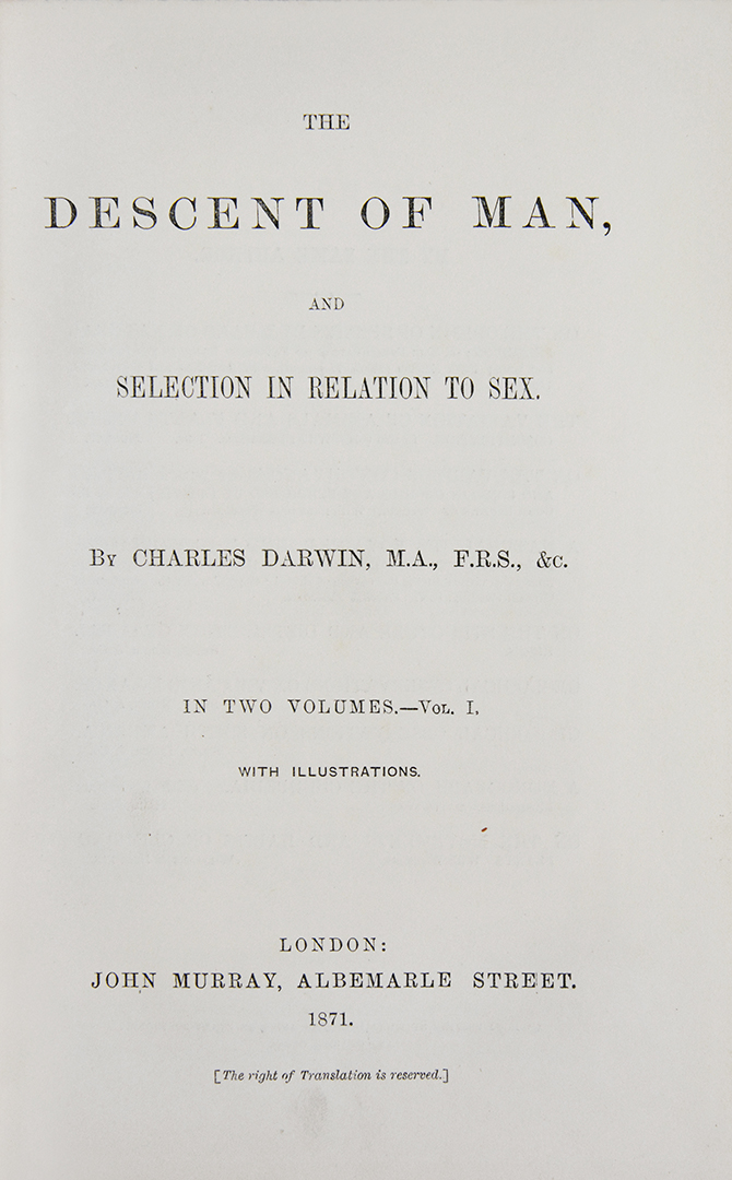 The Descent Of Man And Selection In Relation To Sex By Darwin Charles 1871 Shapero Rare