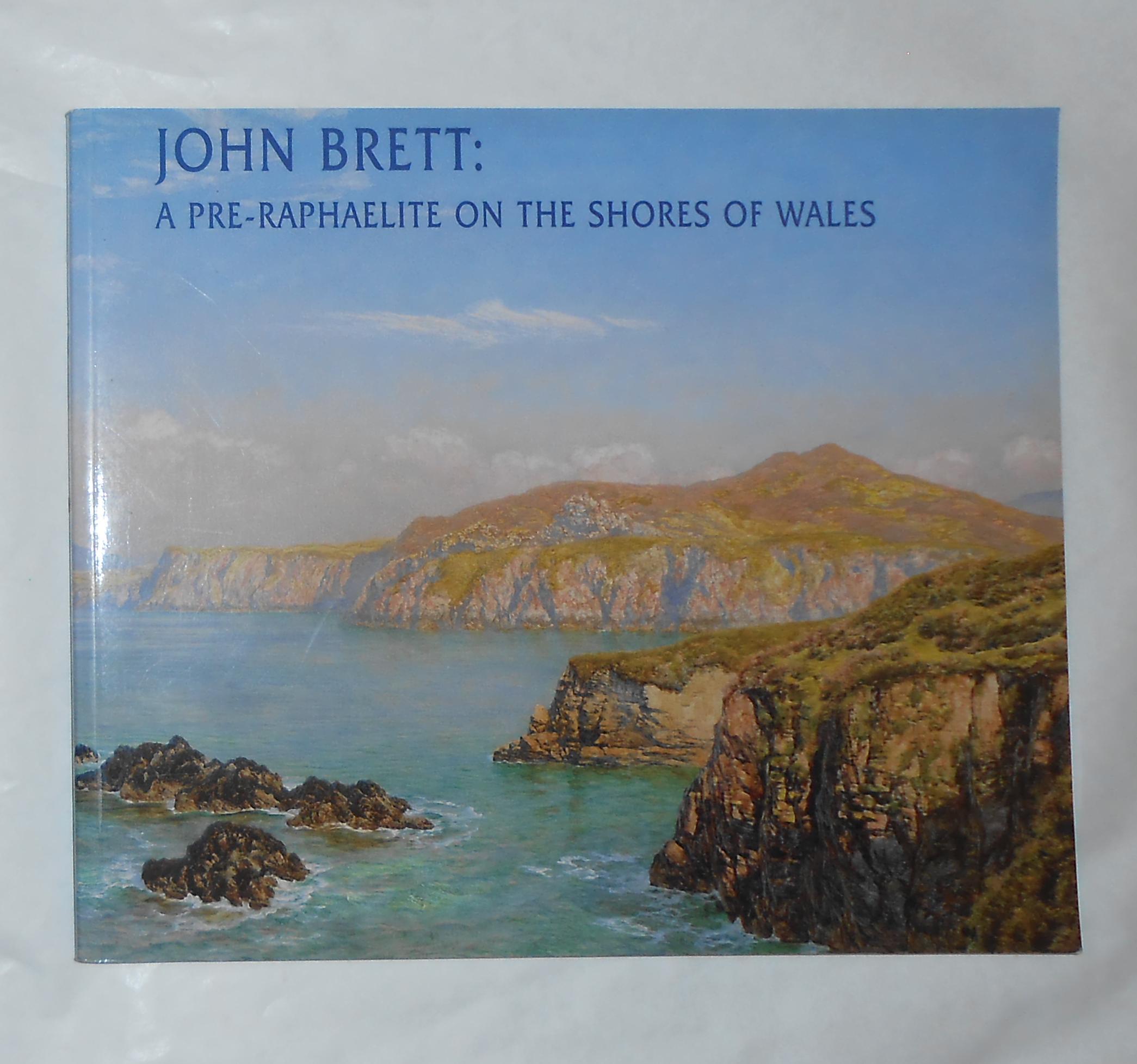 John Brett - A Pre- Raphaelite on the Shores of Wales (National Museum ...
