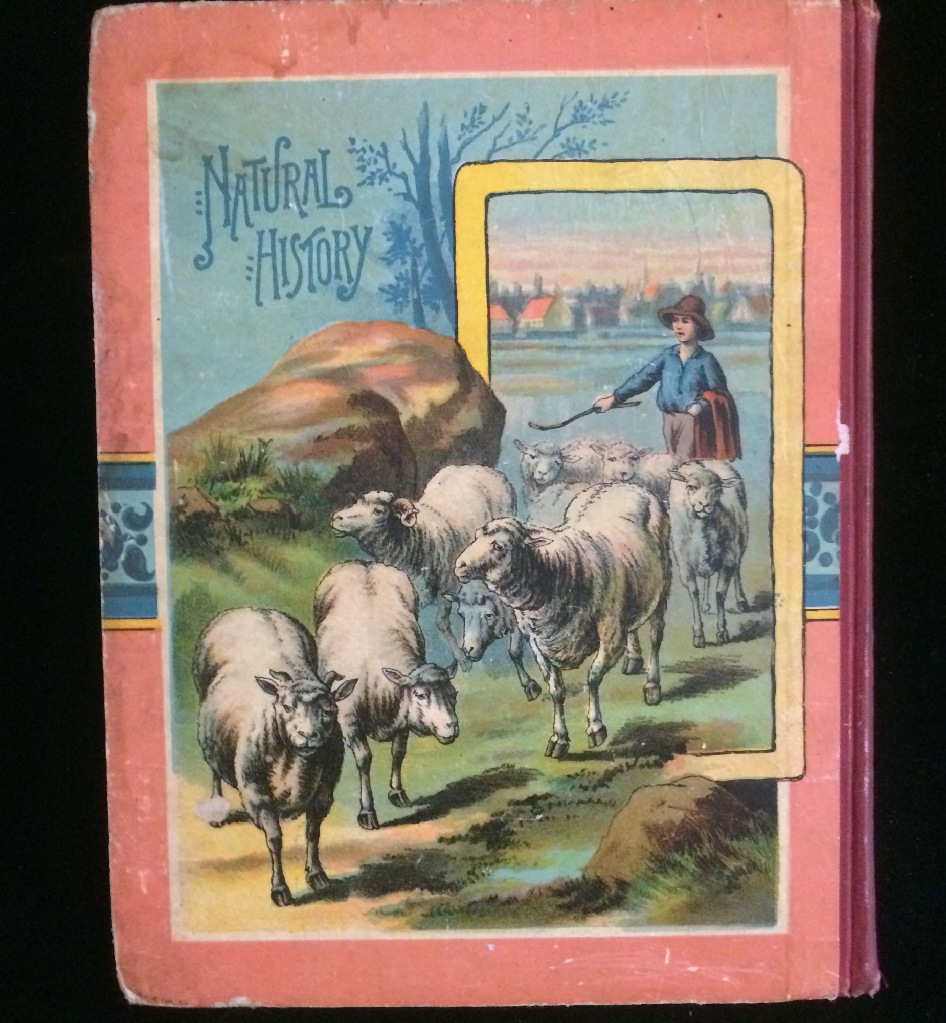 PICTURES AND STORIES FROM NATURAL HISTORY (children's animal book ...