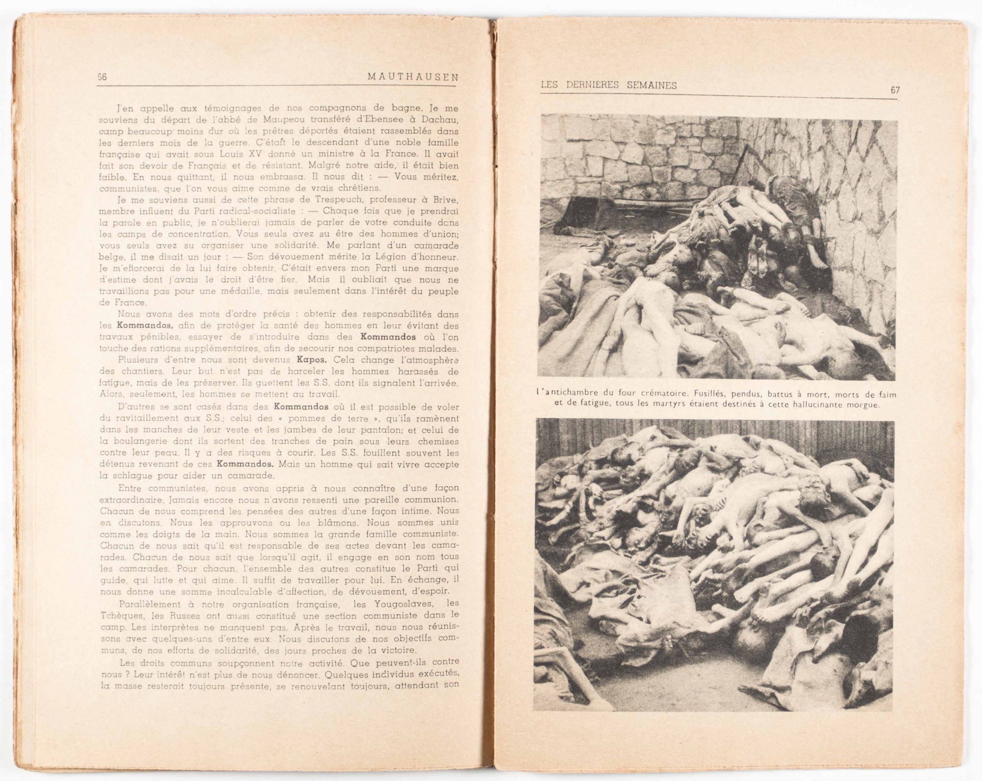 Mauthausen by Tillard, Paul; Jean-Richard Bloch (Preface): Fair+ to vg ...