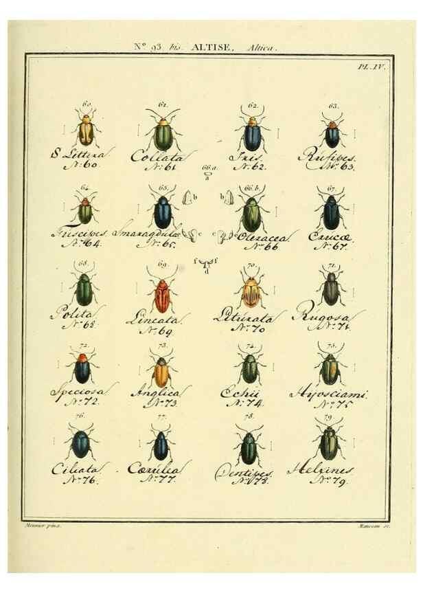 Reproducción/Reproduction 35824179176: Entomologie, ou, Histoire ...