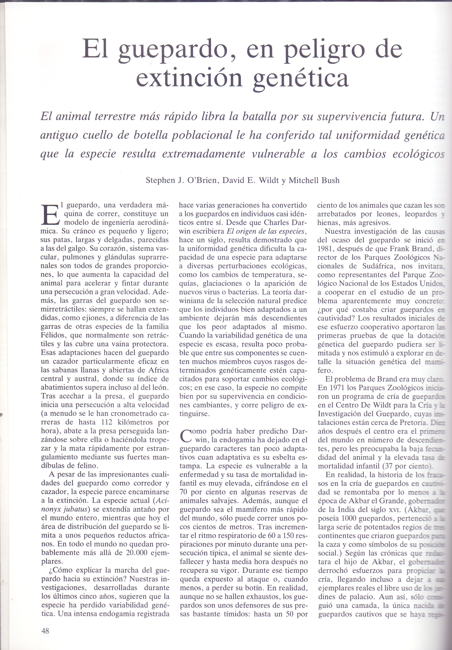 EL GUEPARDO, EN PELIGRO DE EXTINCION GENETICA by Stephen J. O Brien ...