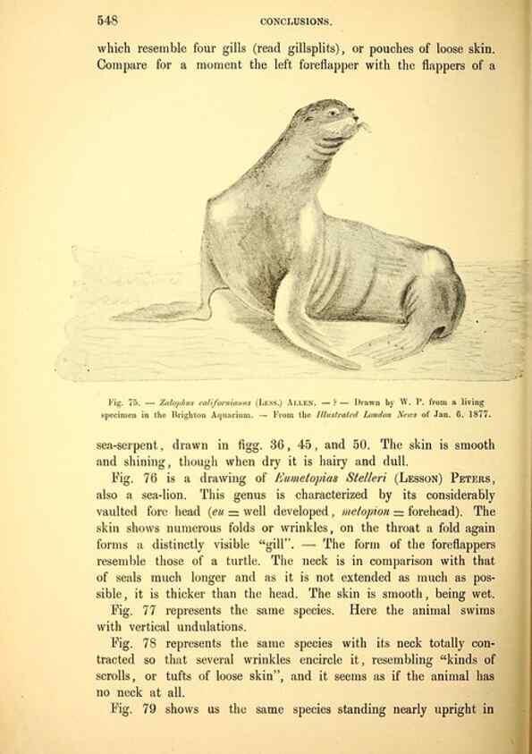 Reproducción/Reproduction 15572686616: The great sea-serpent. Leiden :E ...