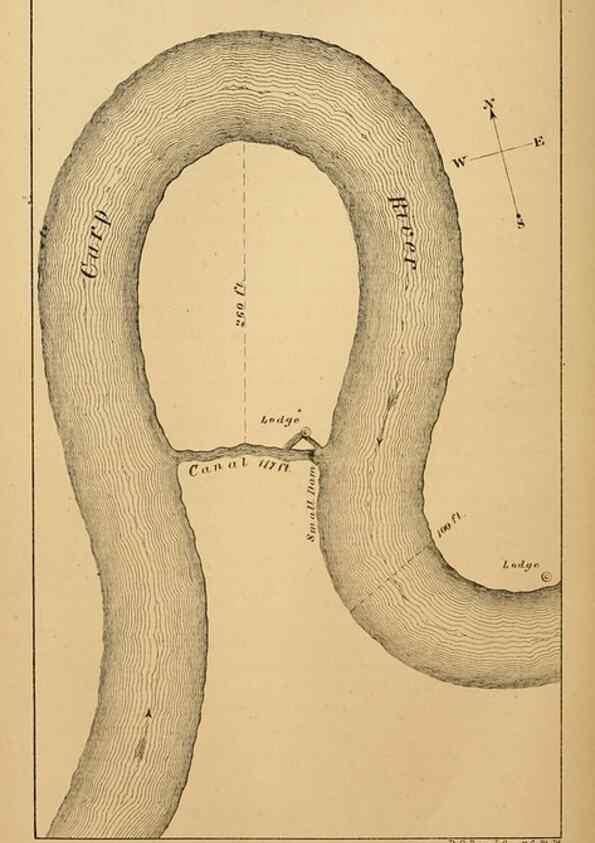 Reproducción/Reproduction 8358402794: The American beaver and his works ...