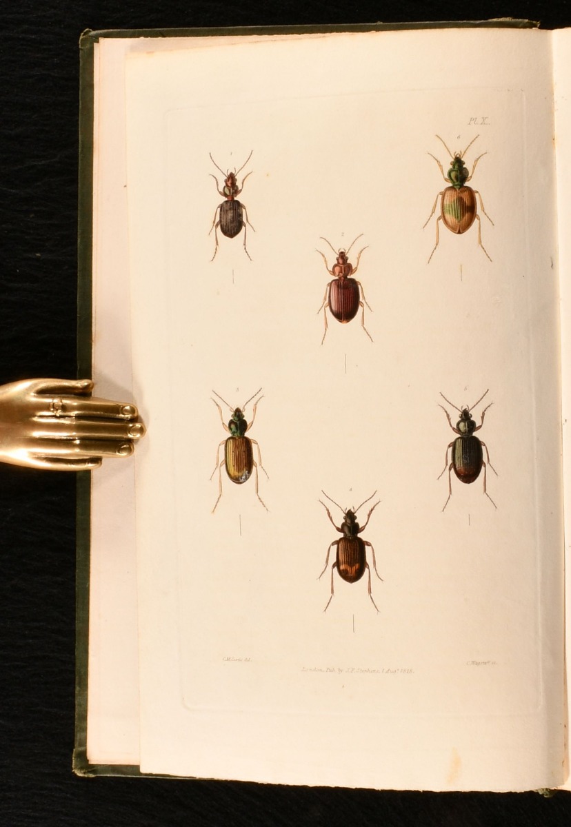 Illustrations of British Entomology; or, a Synopsis of Indigenous ...
